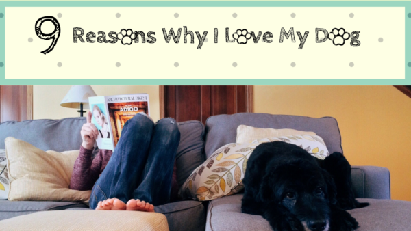 Reasons to have a dog | Best Best Friend | Best Dog