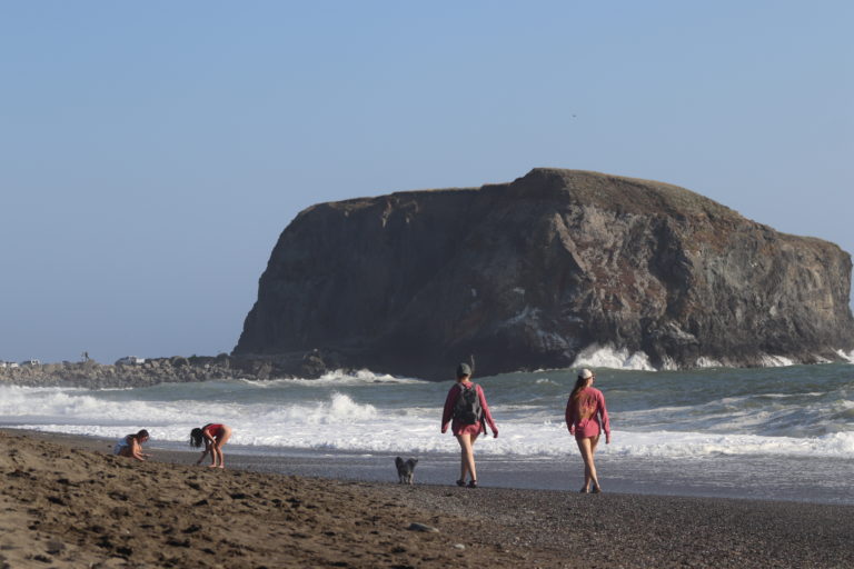 Goat Rock Beach | Sonoma Coast State Park | Sonoma, California I fill life