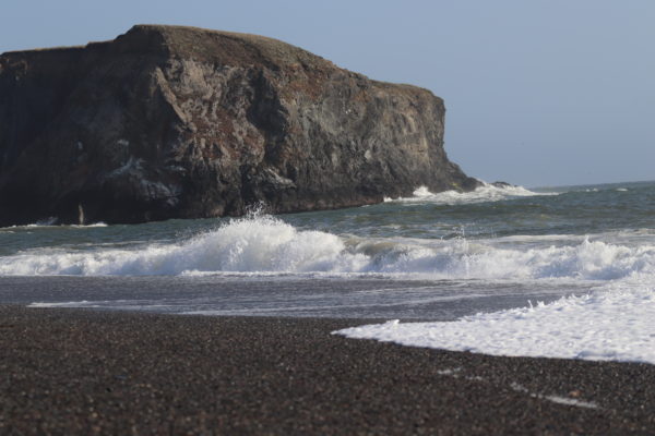 Goat Rock Beach | Sonoma Coast State Park | Sonoma, California I fill life