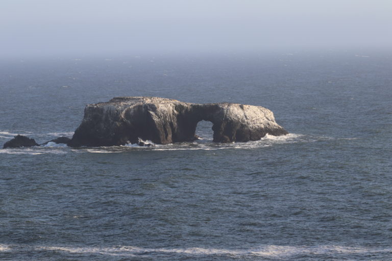 Goat Rock Beach | Sonoma Coast State Park | Sonoma, California I fill life